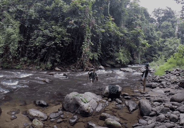 Protected areas a boon for vertebrate diversity in wider landscape ...