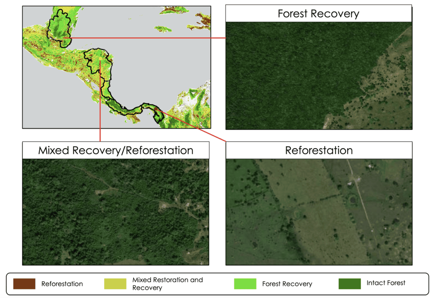 Restoring degraded forests may be key for climate, study says