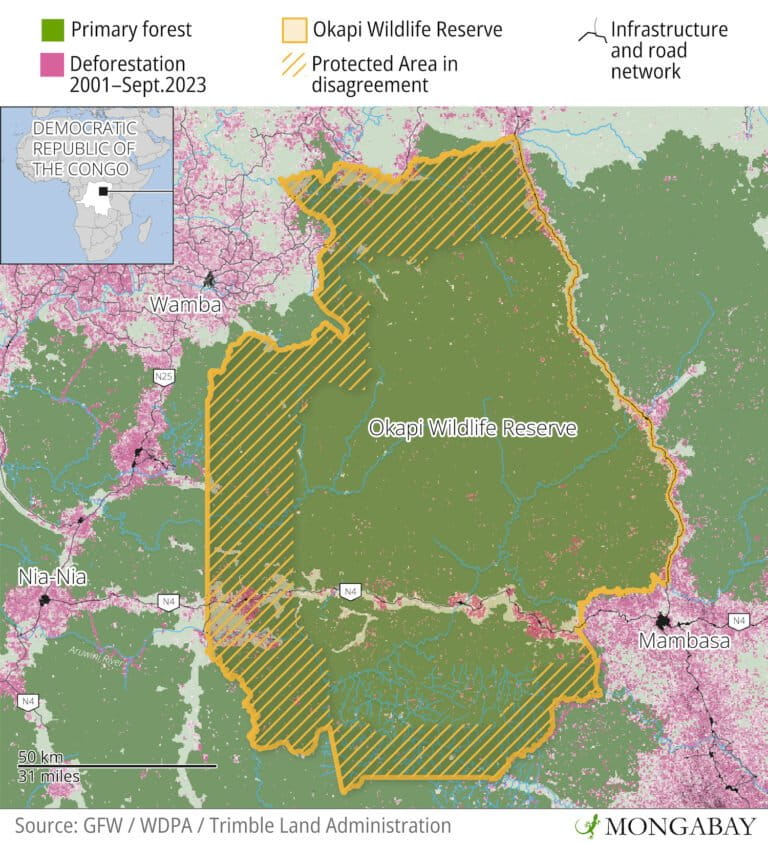 'It's a real mess': Mining and deforestation threaten unparalleled DRC ...