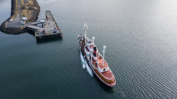 Iceland's whaling paradox (commentary)