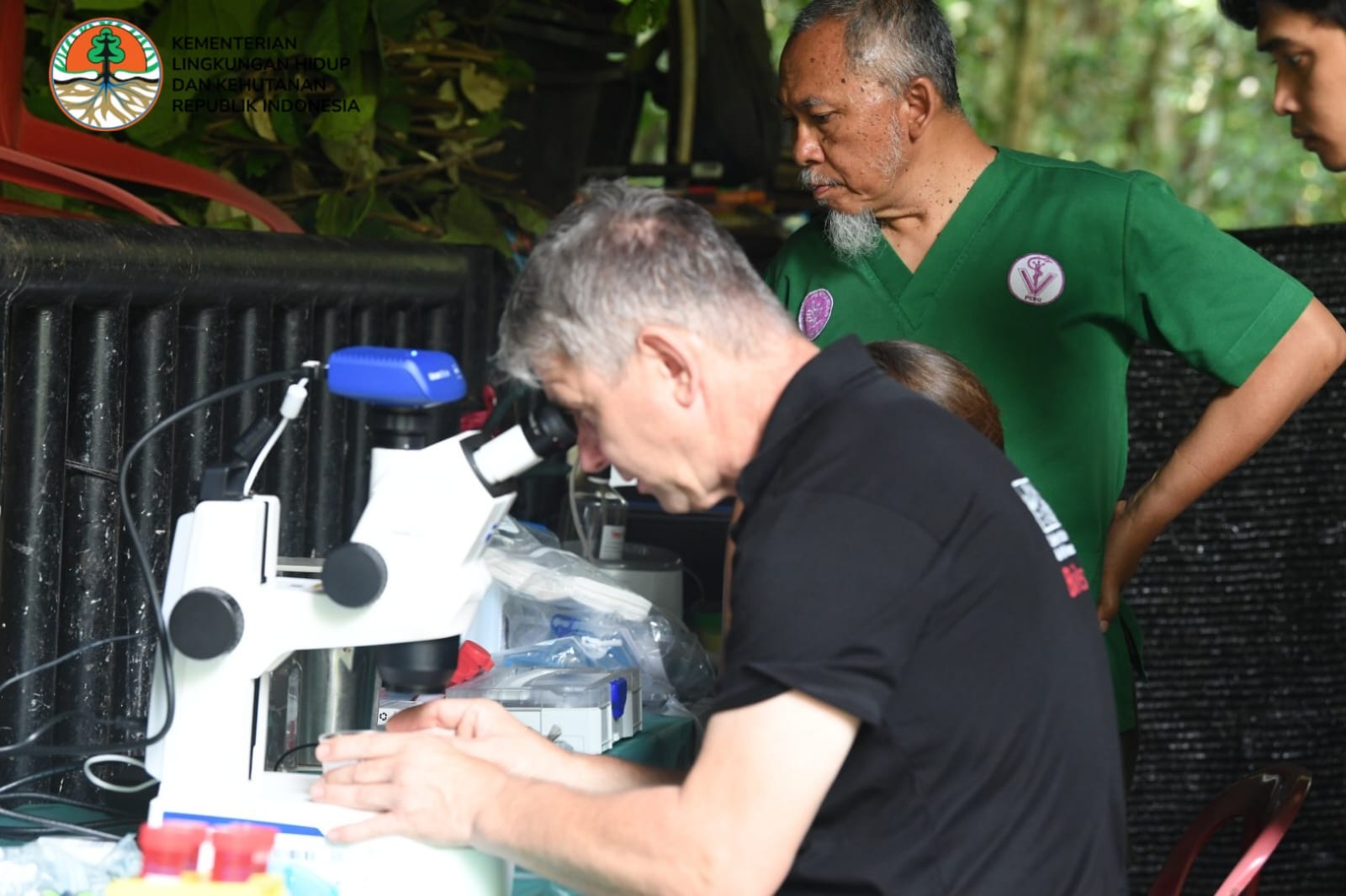 Boost for Sumatran rhino IVF plan as eggs extracted from Bornean specimen
