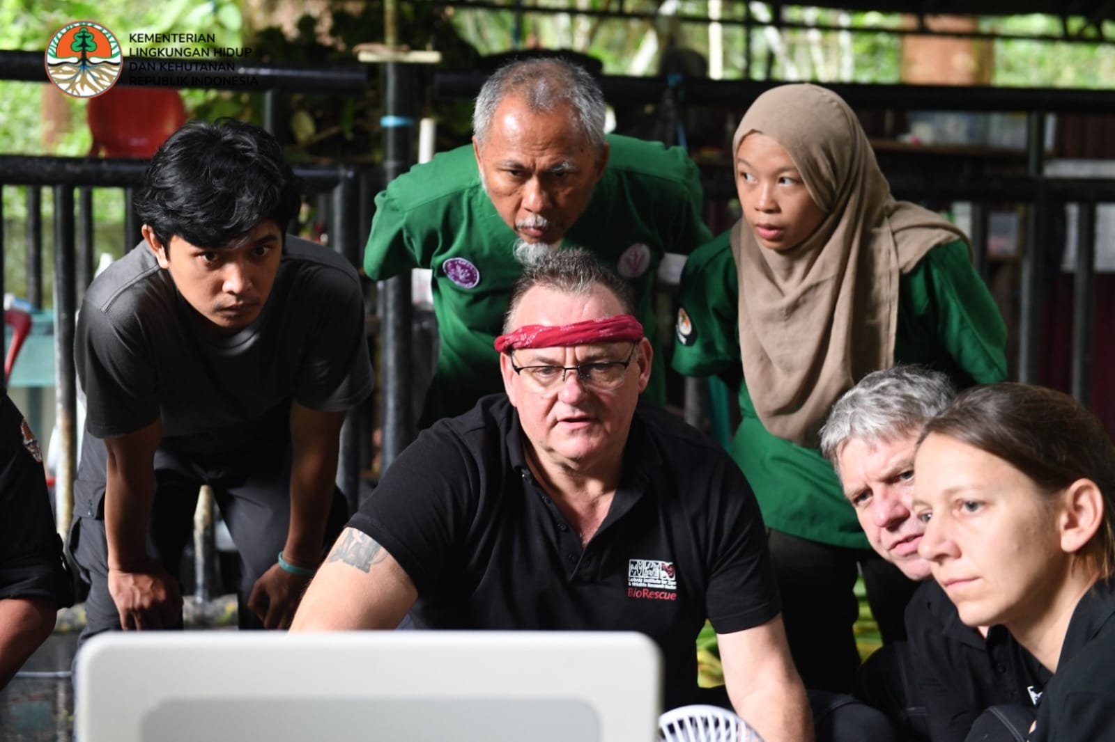 Boost for Sumatran rhino IVF plan as eggs extracted from Bornean specimen