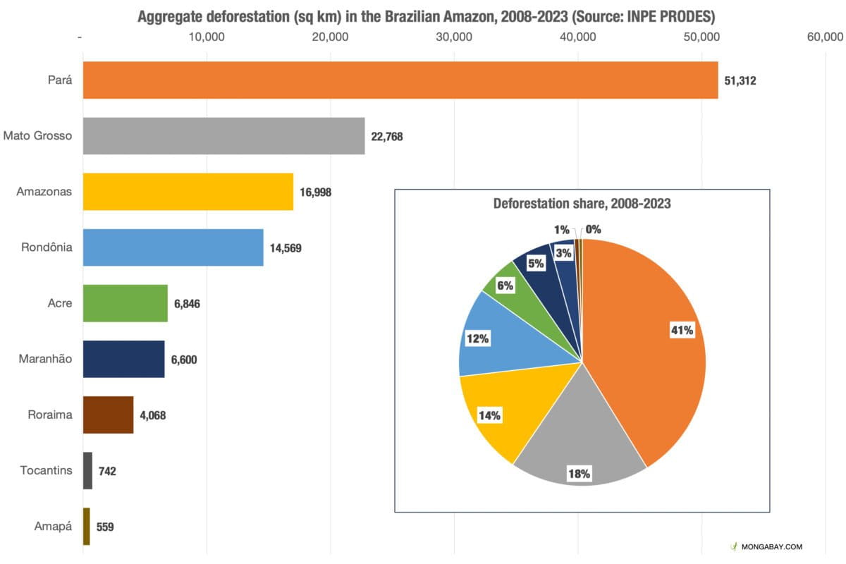 Deforestation in the Brazilian Amazon falls 22% in 2023