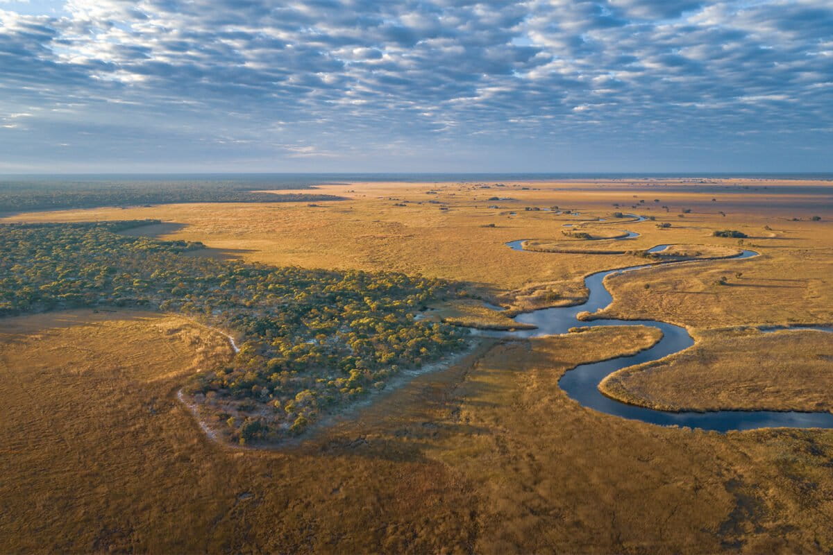 New study pushes for protection of one of Africa’s ‘least understood ...