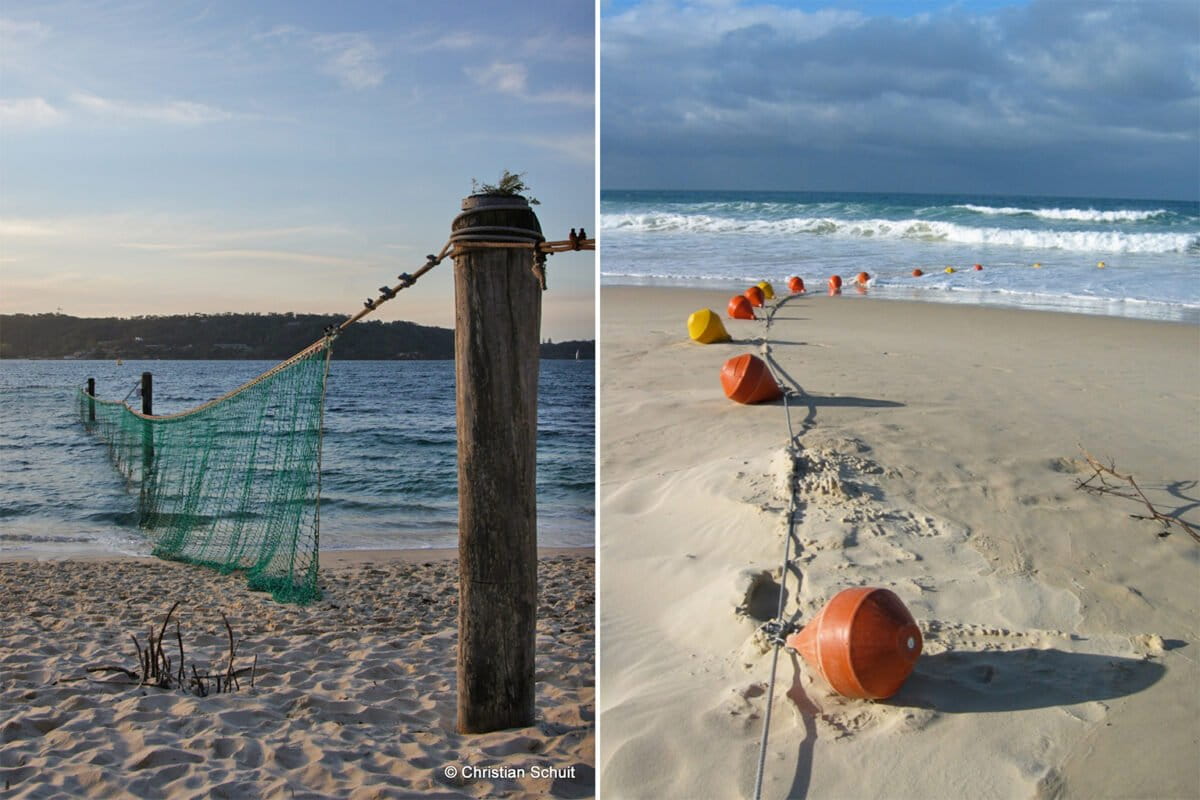 Lethal or not? Australia’s beaches are a crucible for shark control methods