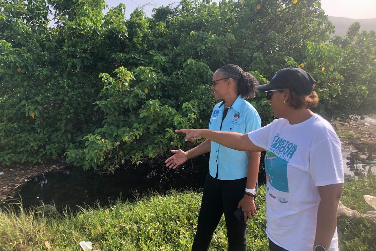 Jamaica battles relentless plastic pollution in quest to restore mangroves