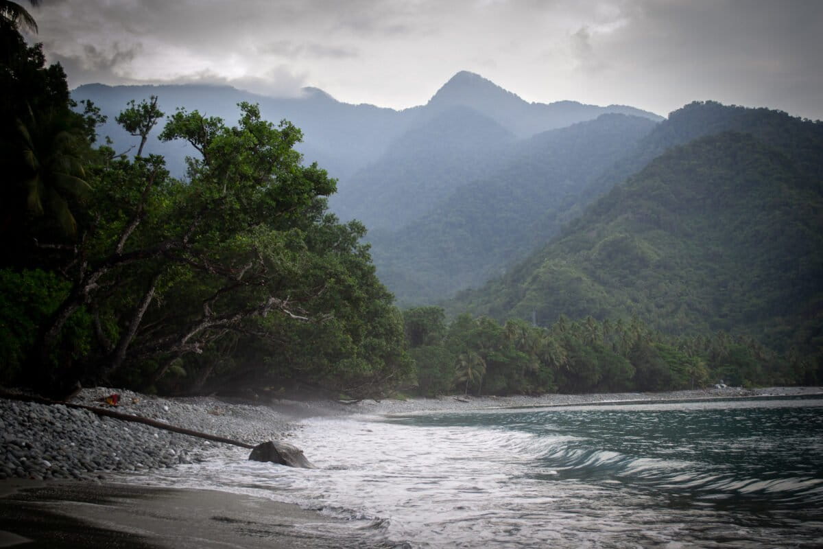 Collaboration key to rediscovery of egg-laying mammal in Papua’s ...