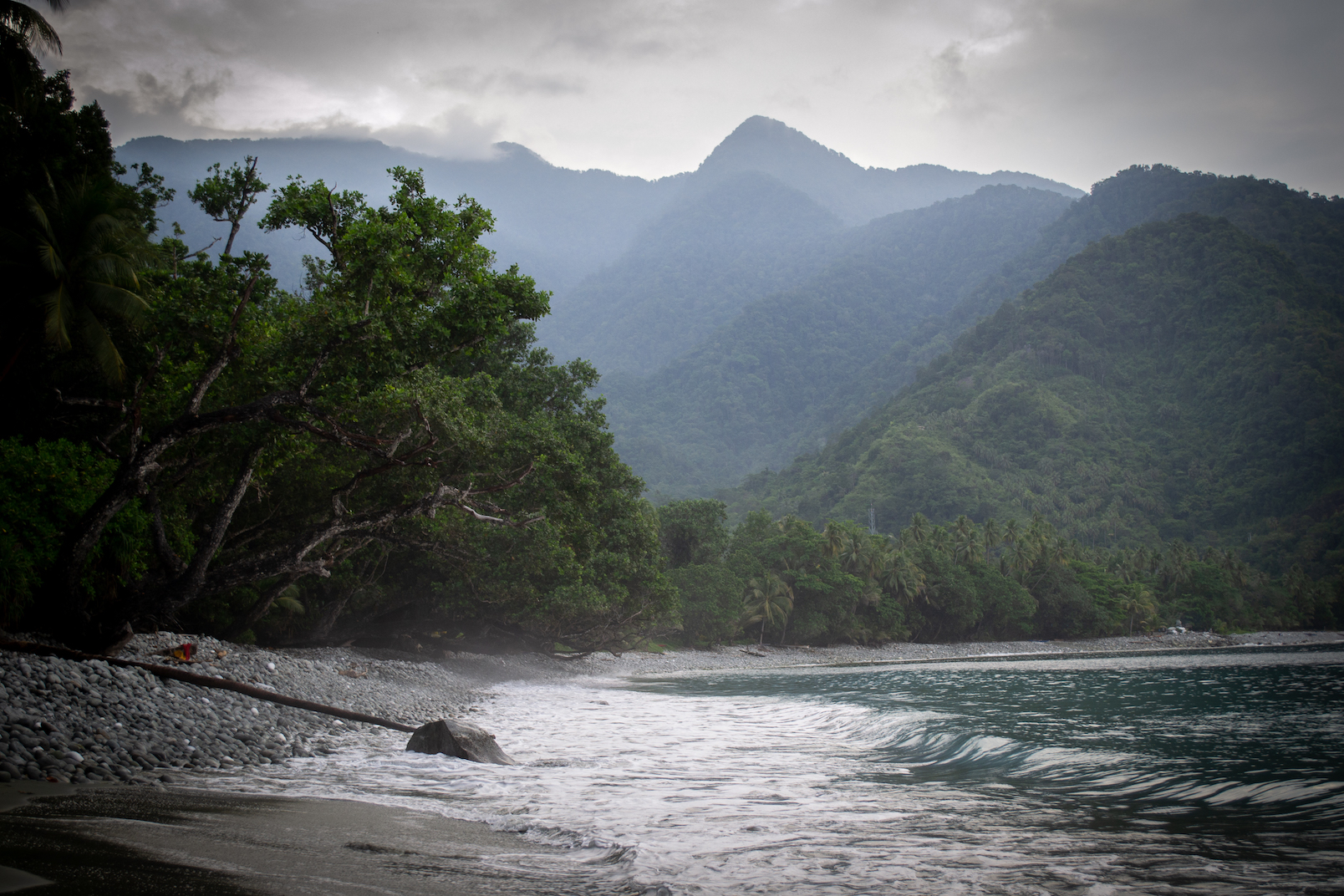 Collaboration key to rediscovery of egg-laying mammal in Papua’s Cyclops Mountains