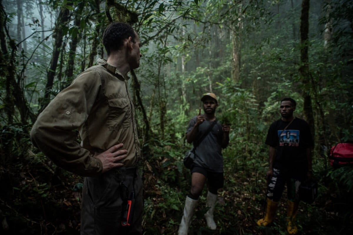 Collaboration key to rediscovery of egg-laying mammal in Papua’s Cyclops Mountains - South ...