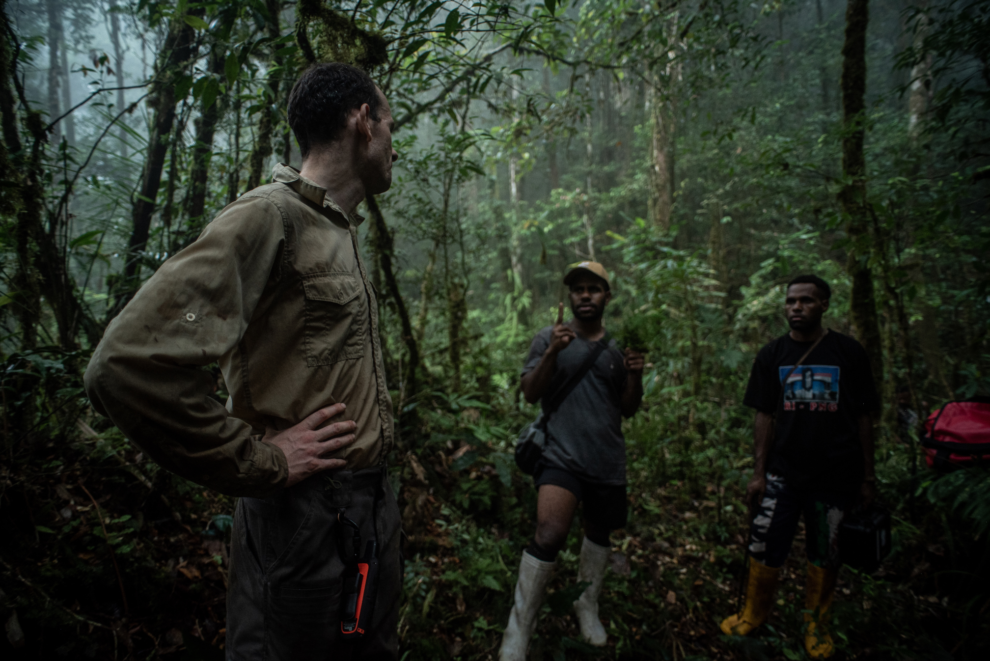 Collaboration key to rediscovery of egg-laying mammal in Papua’s Cyclops Mountains