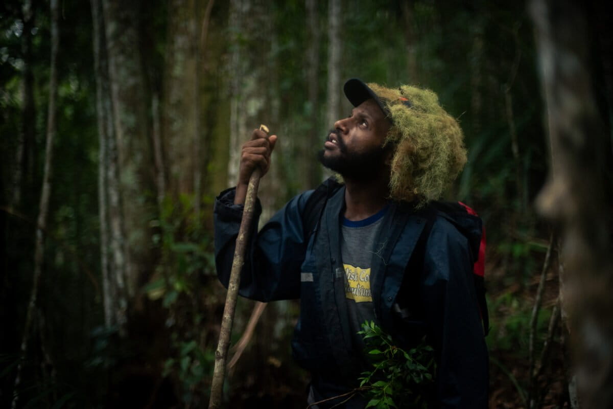 Collaboration key to rediscovery of egg-laying mammal in Papua’s Cyclops Mountains - South ...