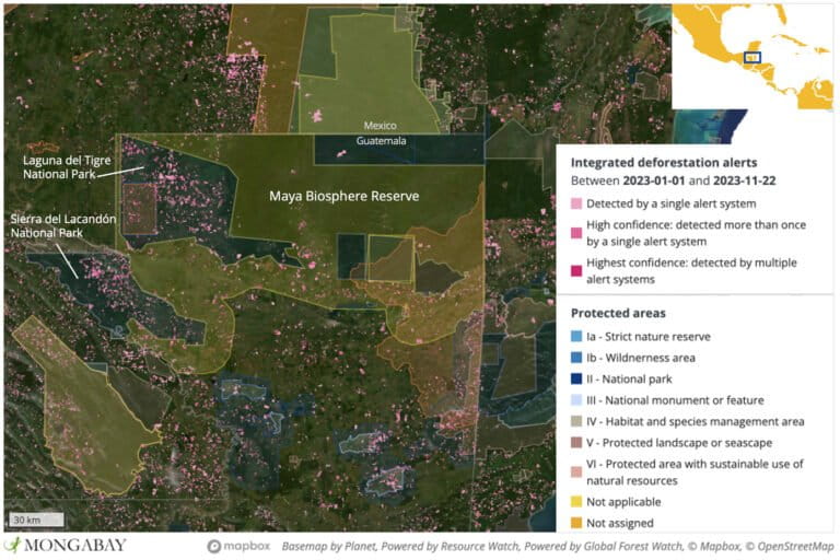 Guatemala braces for unprecedented year of deforestation in Maya ...