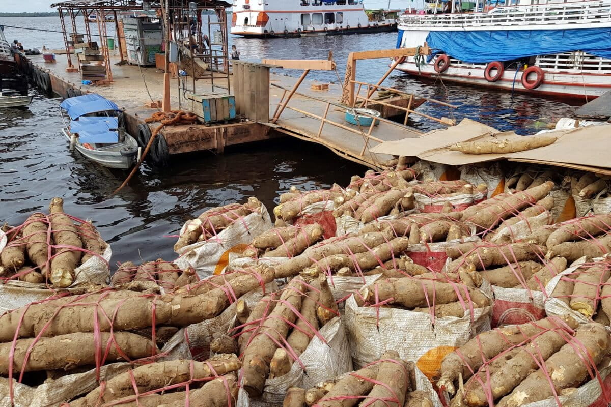 Local and national food crops in the Andean Amazon
