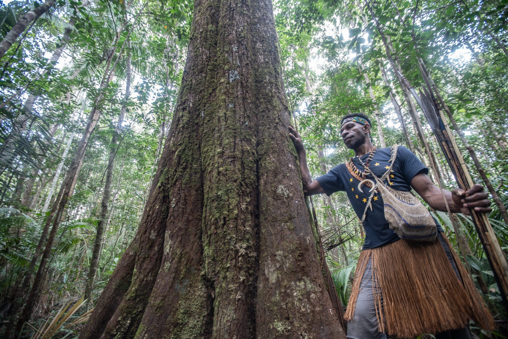 Indonesian court blocks palm oil expansion, but leaves Indigenous land ...