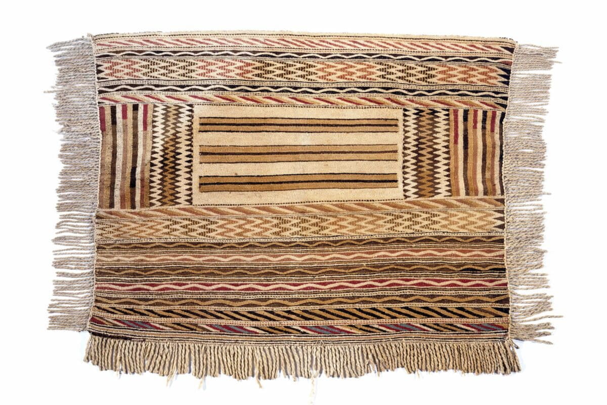 How a 160-year-old pelt piqued new findings on Indigenous 'woolly dog ...