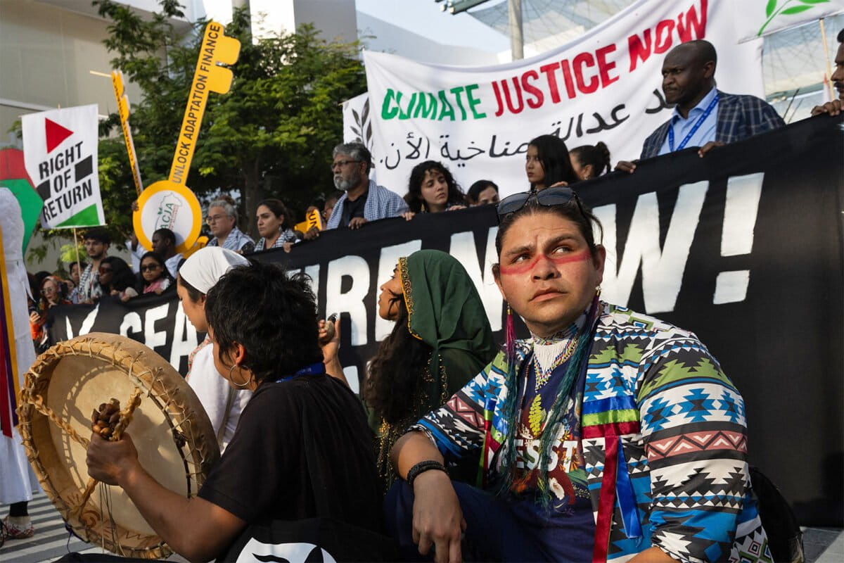 ‘Indigenous’ and ‘local’ shouldn’t be conflated: Q&A with Indigenous ...