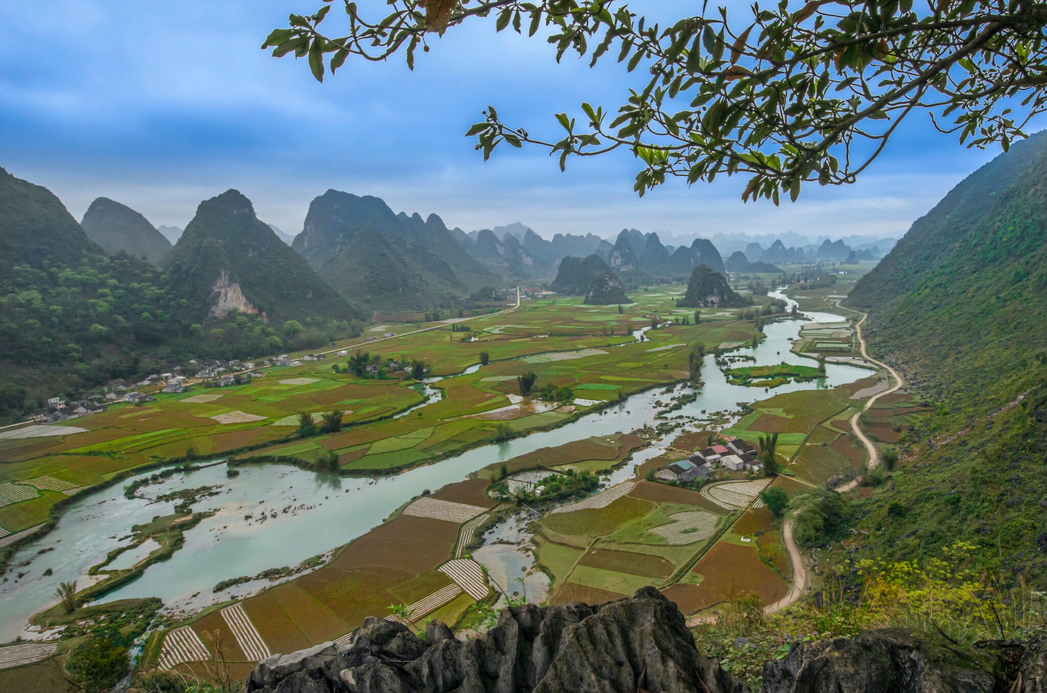 [Photos] New book is a stunning glimpse of Asia’s wildlife and landscapes