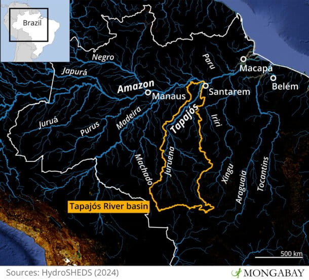 Why the Amazon’s small streams have a major impact on its grand rivers