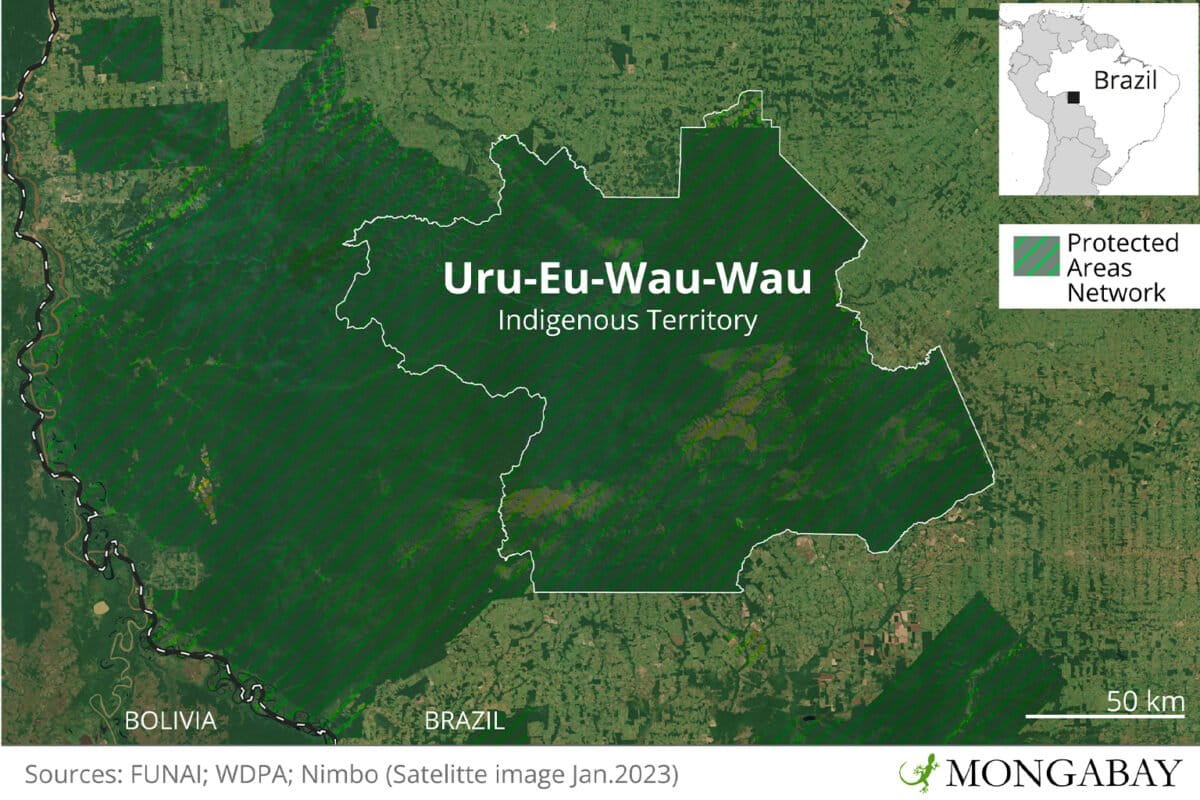 Grassroots efforts and an Emmy-winning film help Indigenous fight in Brazil