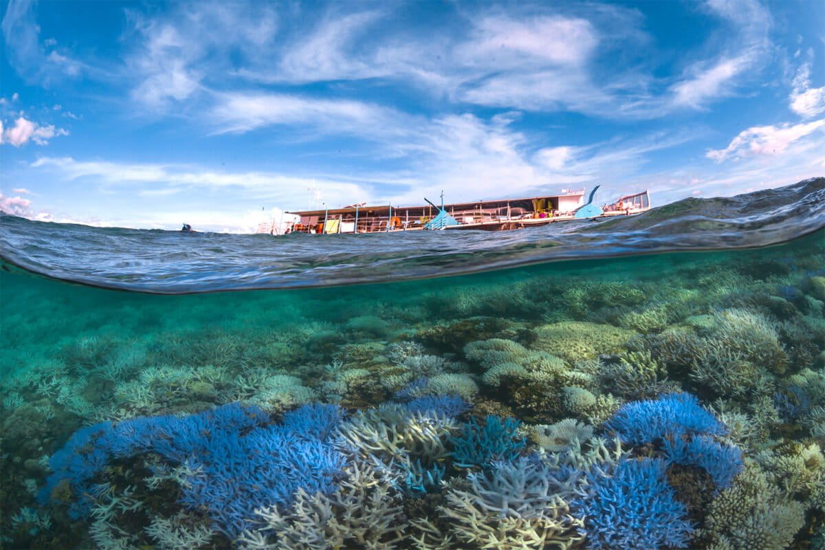 Ocean heating breaks record, again, with disastrous outcomes for the planet