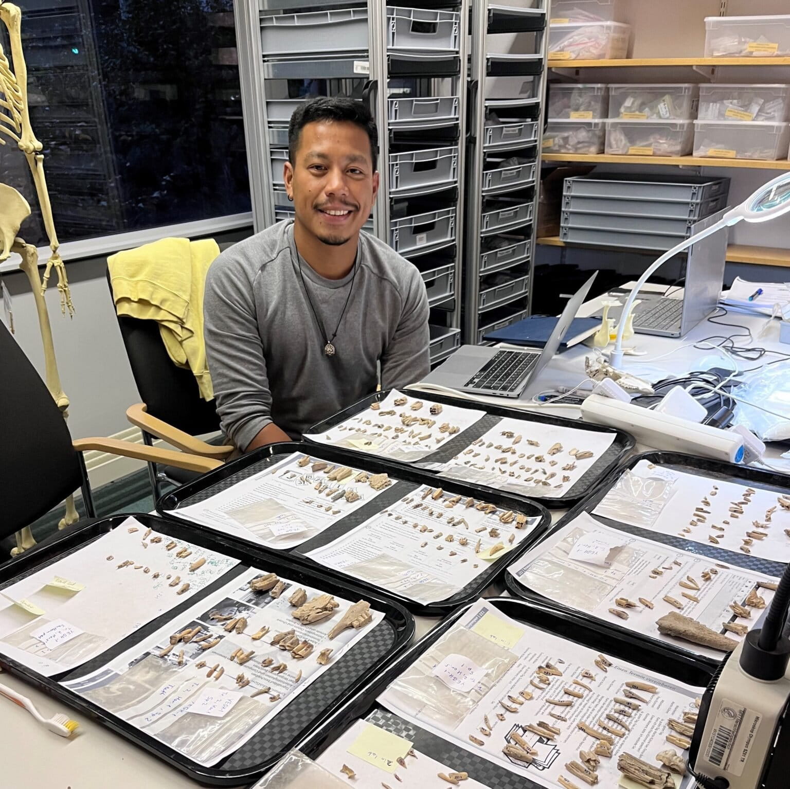 Forest diversity is key to Southeast Asia’s climate adaptability, study ...