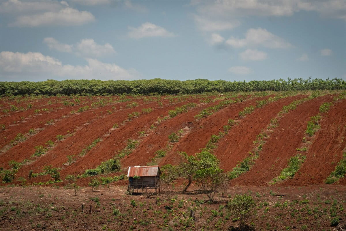 Cambodia’s Indigenous communities renounce communal land titles for ...