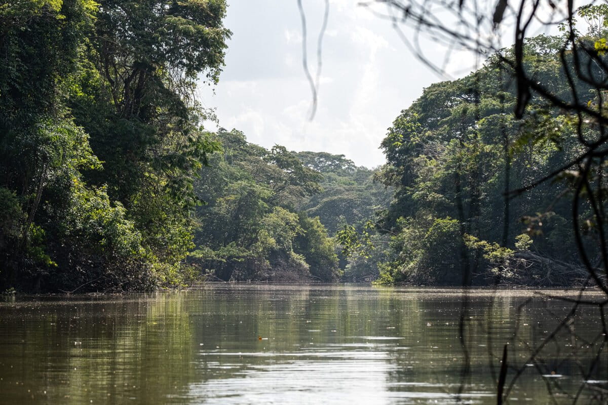 From murder to mining, threats abound in Colombian Amazon Indigenous ...