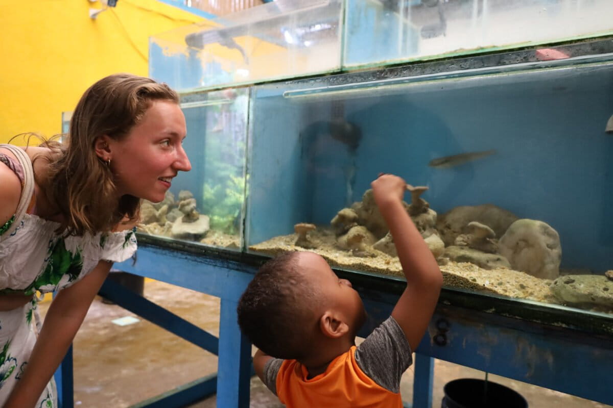 From exporting coral to restoring reefs, a Madagascar startup rethinks ...