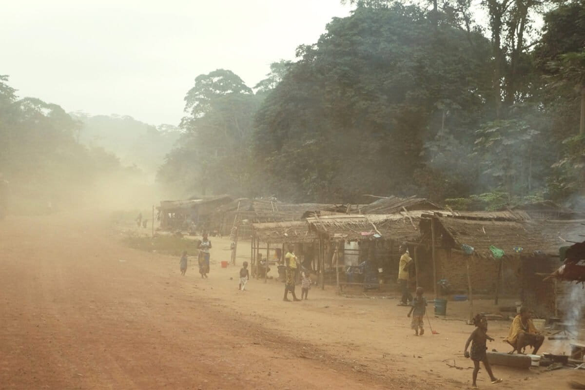 African Parks vows to investigate allegations of abuse at Congolese park