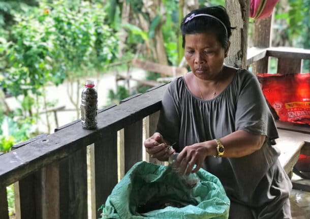 Traditional healers in Philippines keep their ‘forest pharmacy’ standing