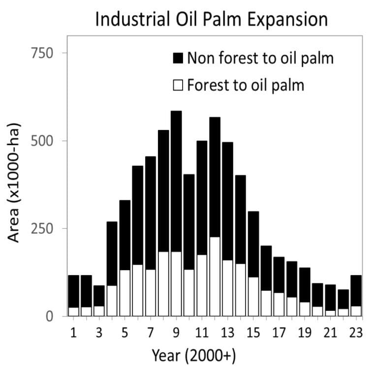 The year in tropical rainforests: 2024