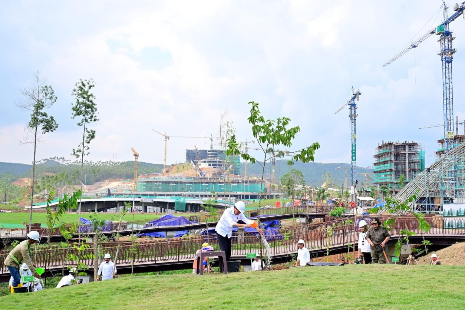 Mini rainforest project aims to serve as Kalimantan reforestation blueprint