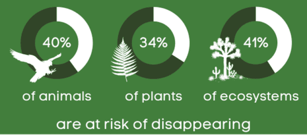 After 50 years of the U.S. Endangered Species Act, we need new ...
