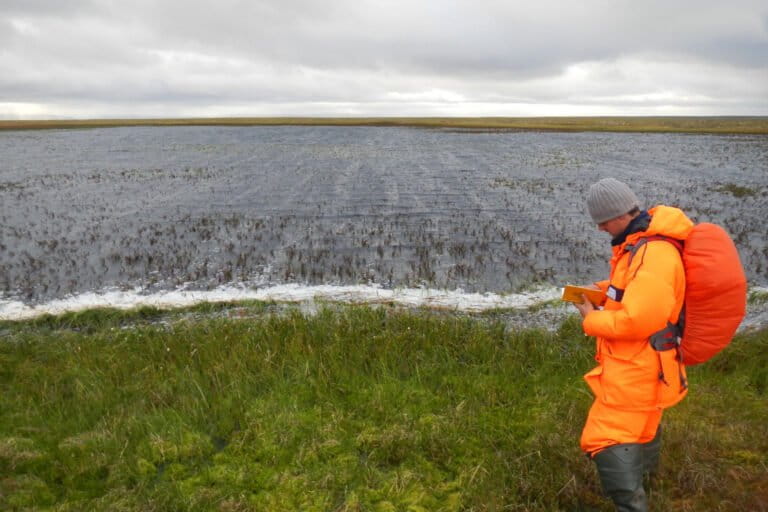 Freeze on Russian collaboration disrupts urgently needed permafrost data flow