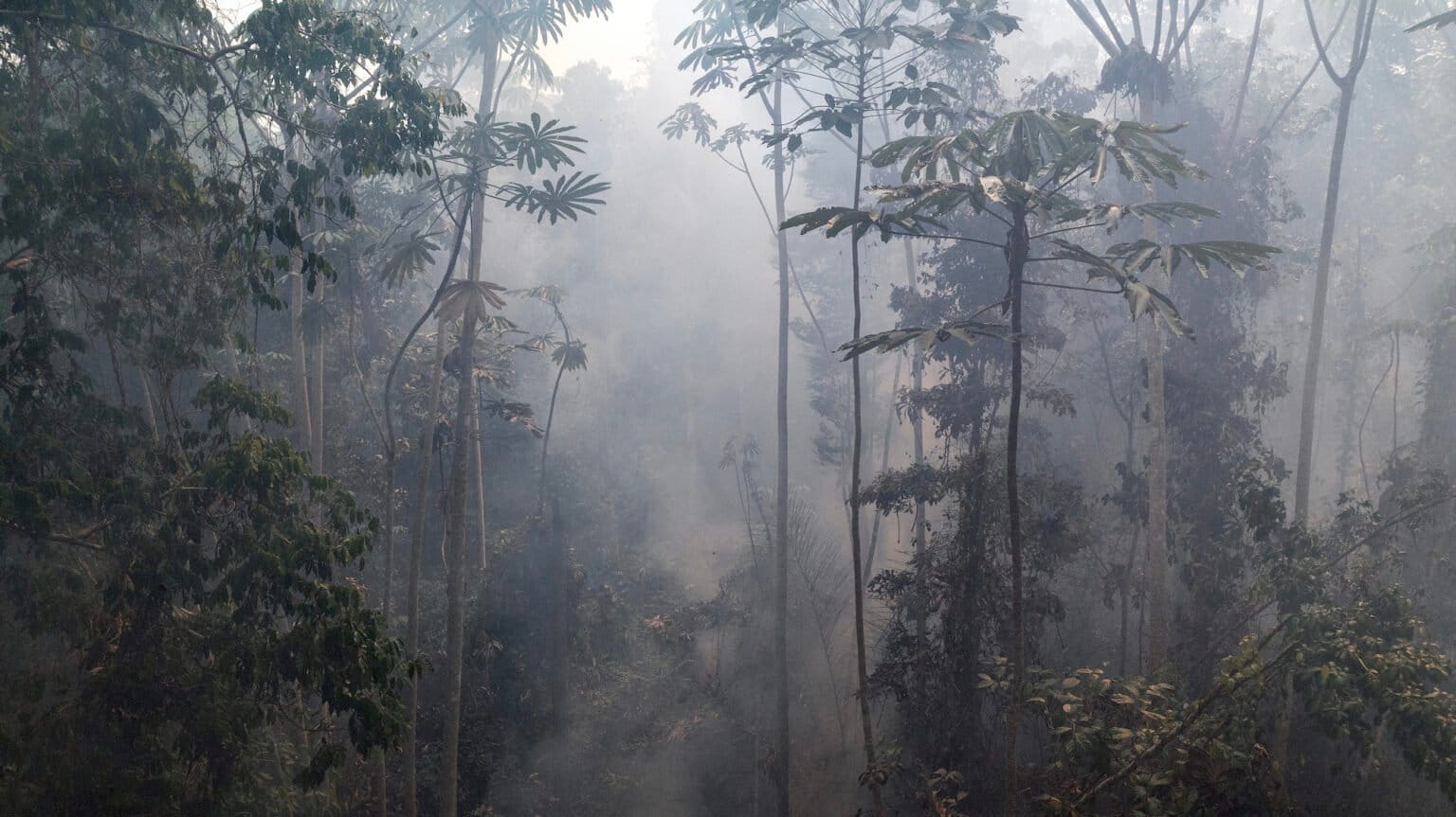 Megafires are spreading in the Amazon — and they are here to stay