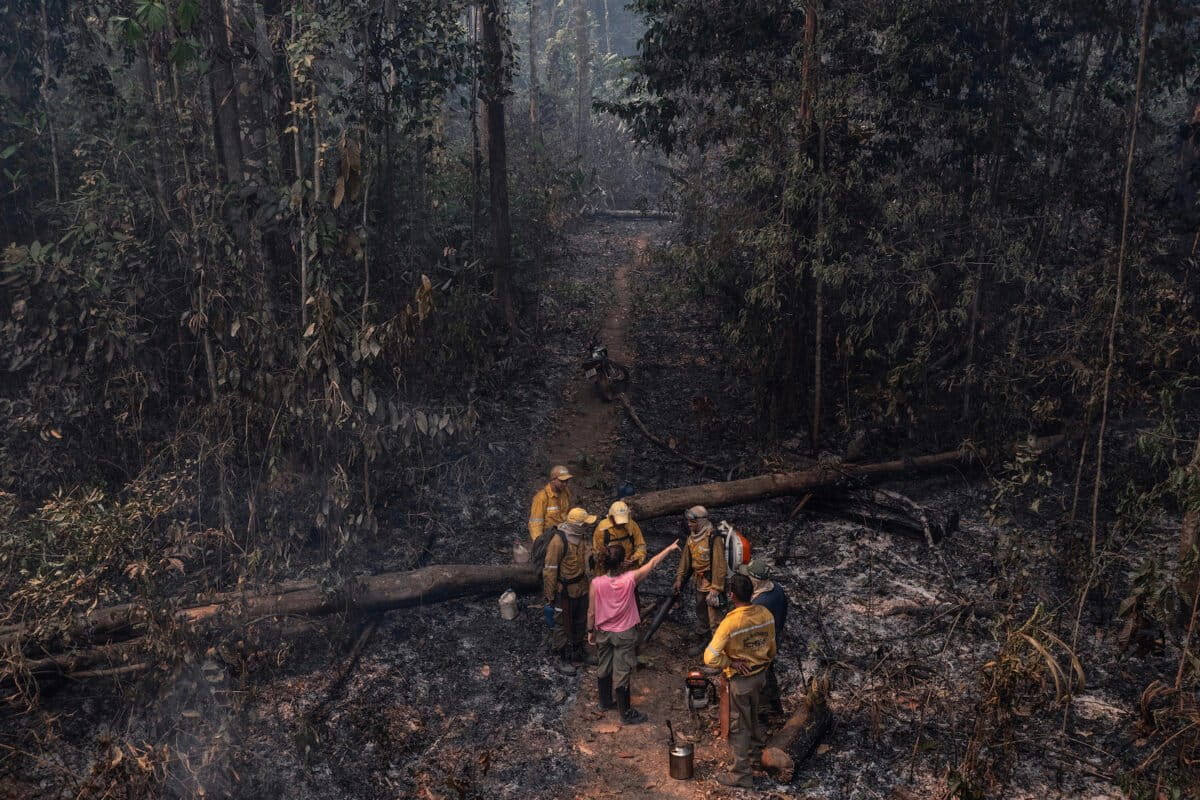 Protecting Indigenous Amazon lands may also protect public health ...