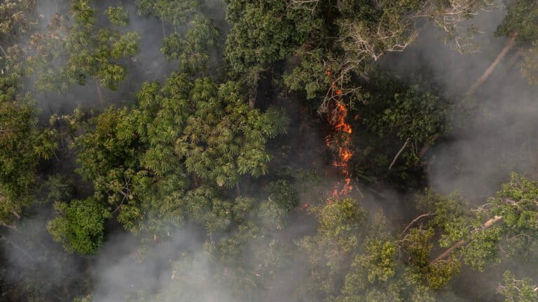 Megafires are spreading in the Amazon — and they are here to stay