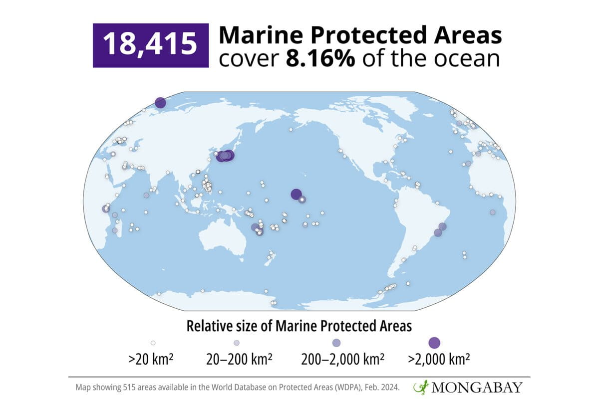 Should all marine reserves ban fishing? Not necessarily, new study shows