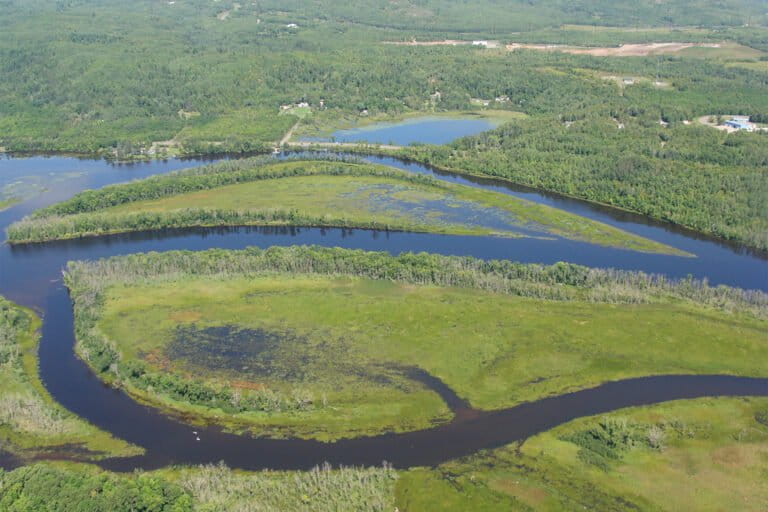 Culture and conservation thrive as Great Lakes tribes bring back native ...