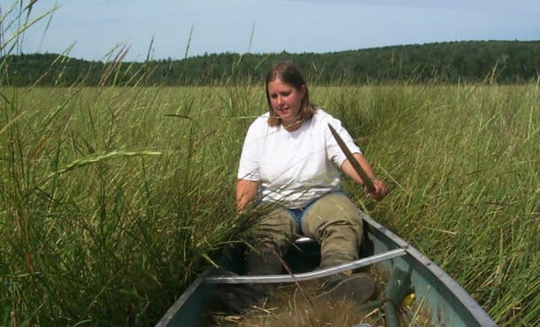 Culture and conservation thrive as Great Lakes tribes bring back native ...