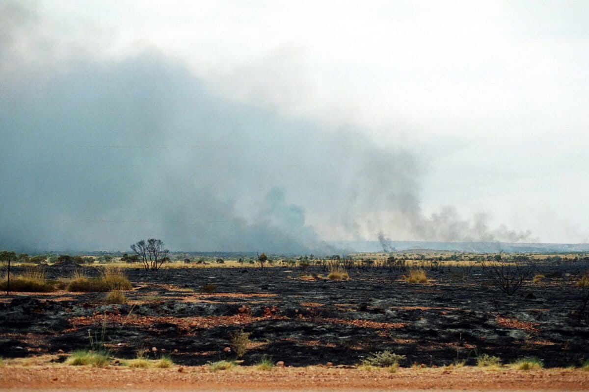 Traditional Aboriginal fire practices can help promote plant diversity ...