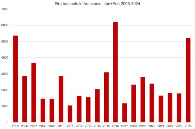 Fires surge in the Amazon, but deforestation continues to fall