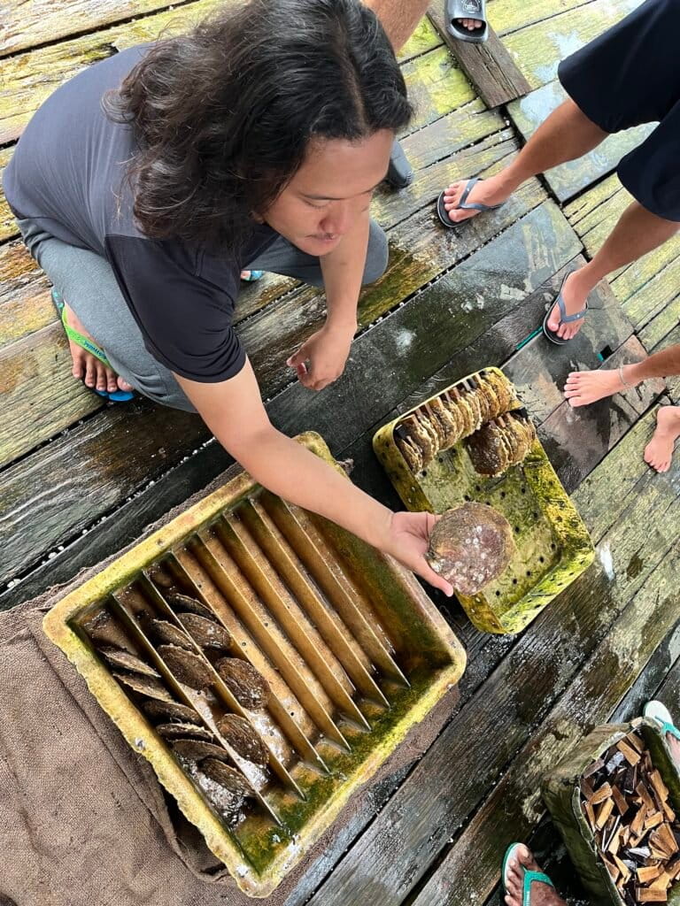 In Raja Ampat, pearl farming balances business and ecological ...