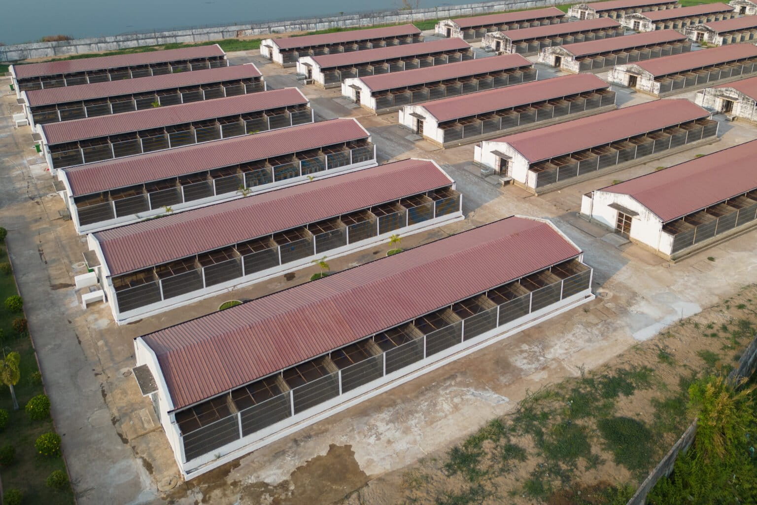 Cambodian official acquitted in trial that exposed monkey-laundering scheme