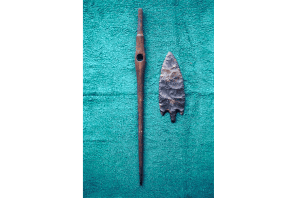 A short walk through Amazon time: Interview with archaeologist Anna ...