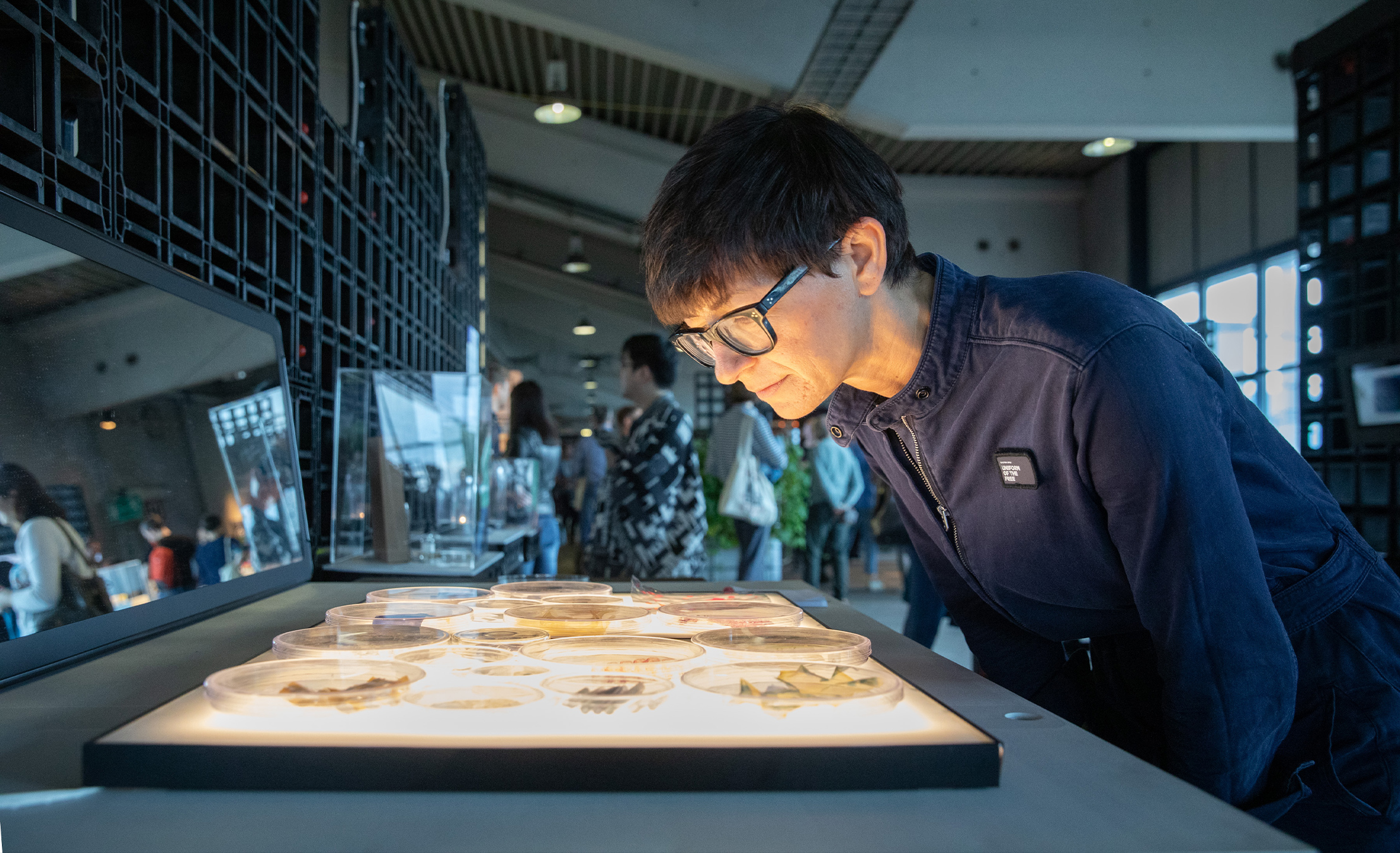 Bioplastics as toxic as regular plastics; both need regulation, say ...