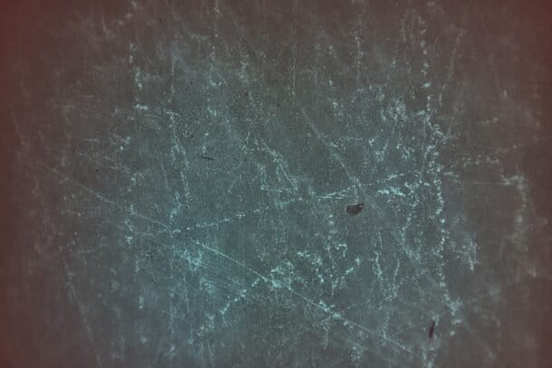 No protection from bottom trawling for seamount chain in northern Pacific