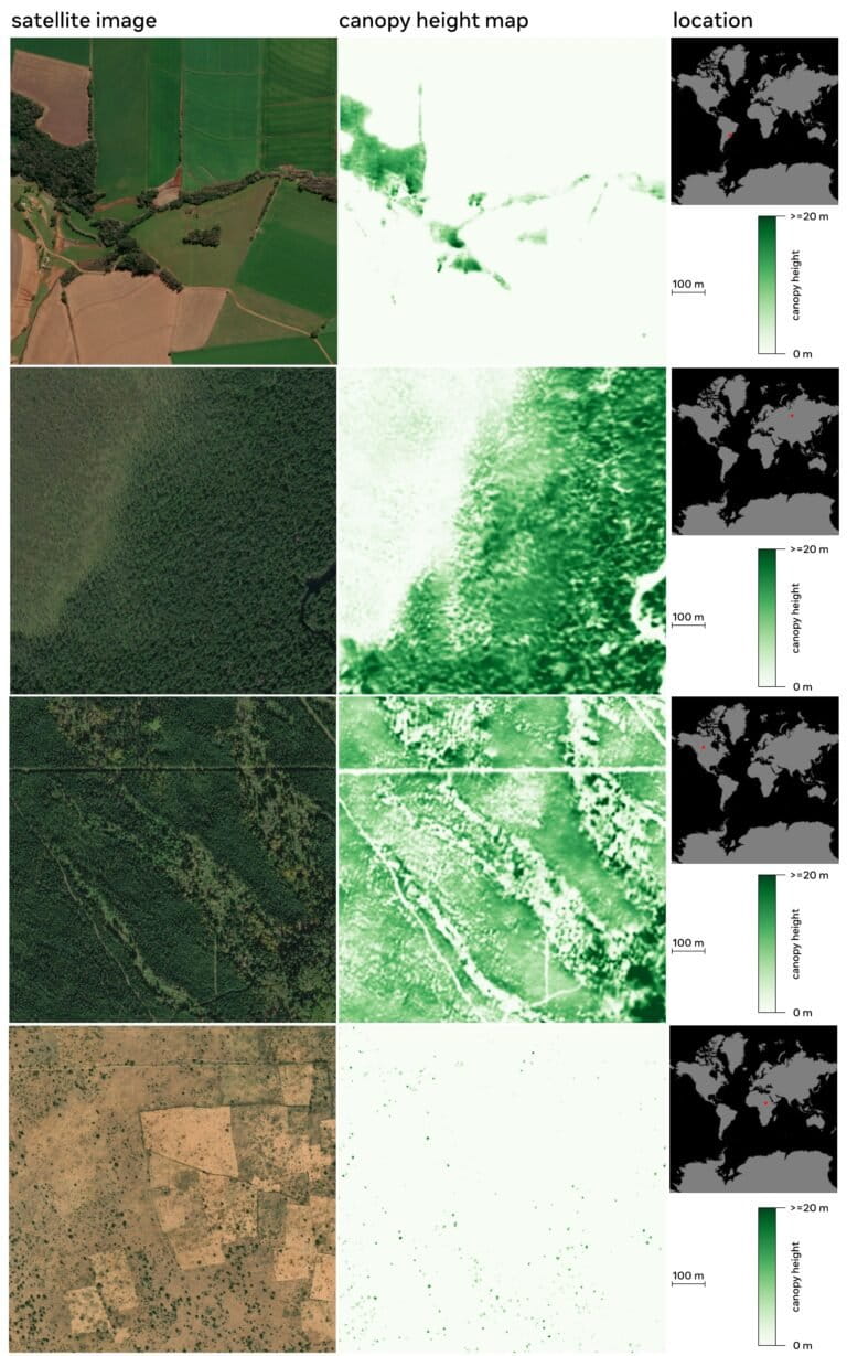 AI model maps global tree canopy heights in hi-res, with carbon counting in mind - South Africa ...
