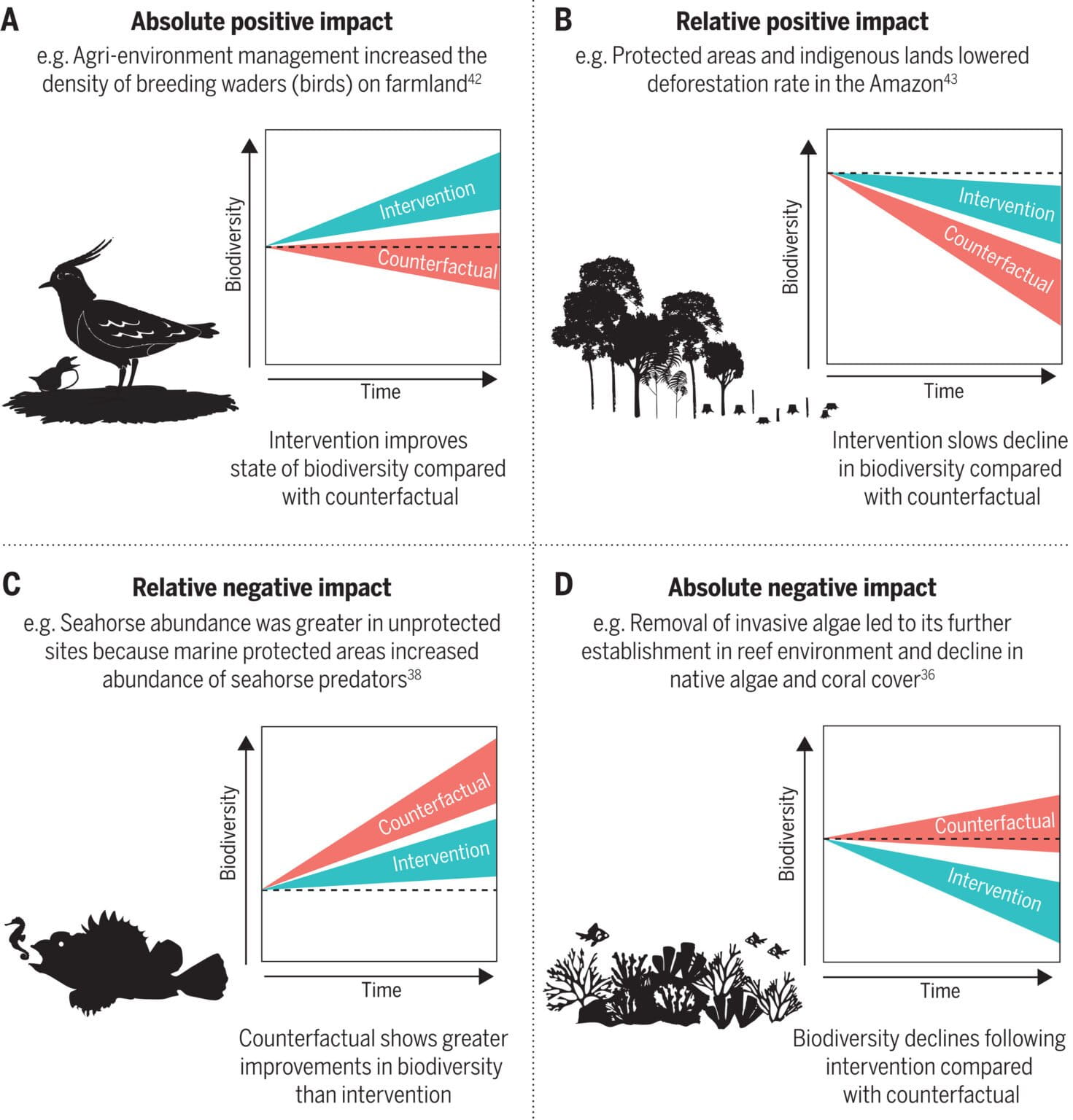 New study says conservation works, providing hope for biodiversity efforts
