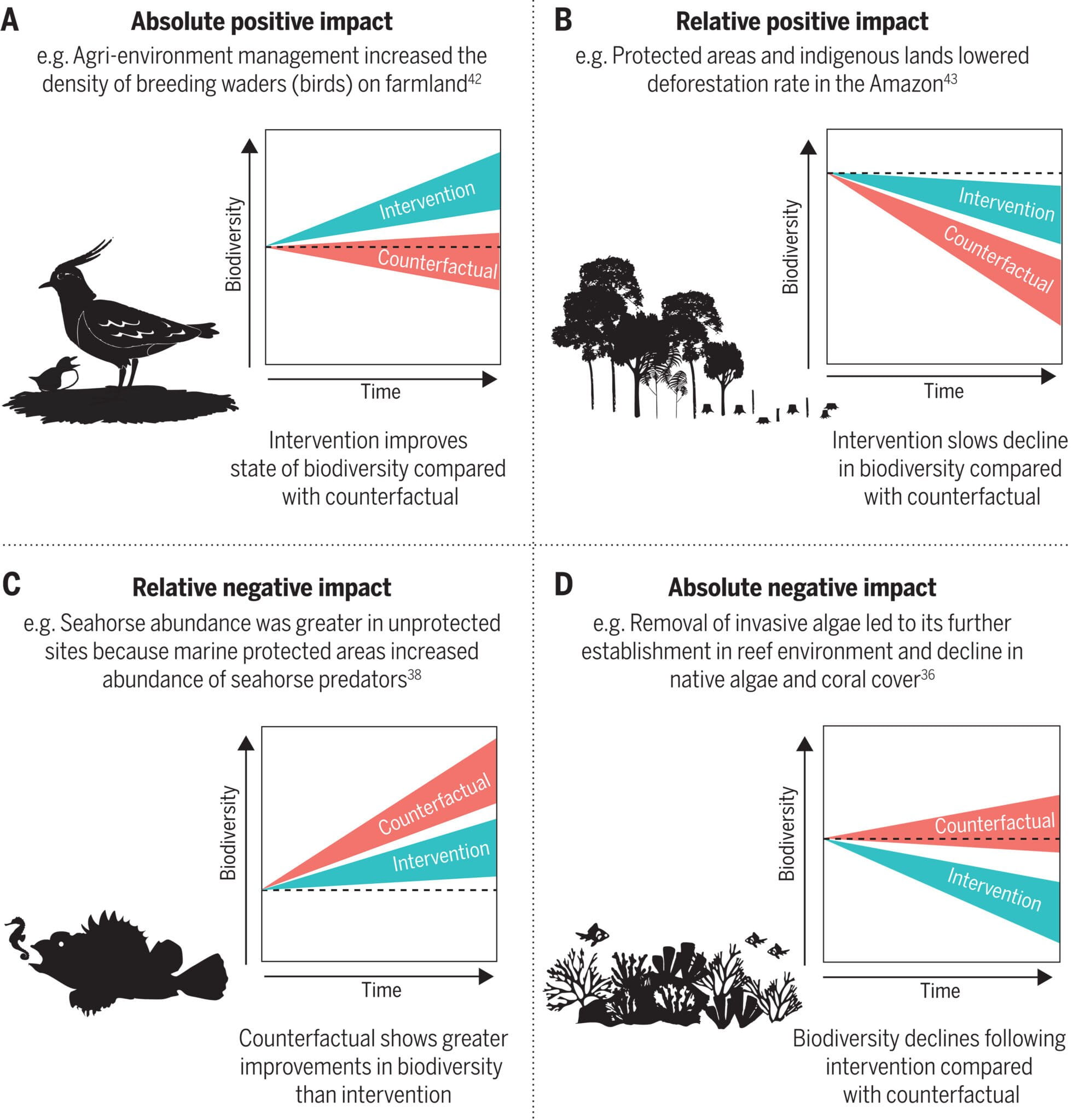 New study says conservation works, providing hope for biodiversity efforts